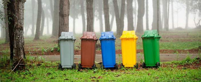 Environment - Strauss Group