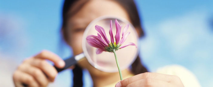 Transparency - Strauss Group